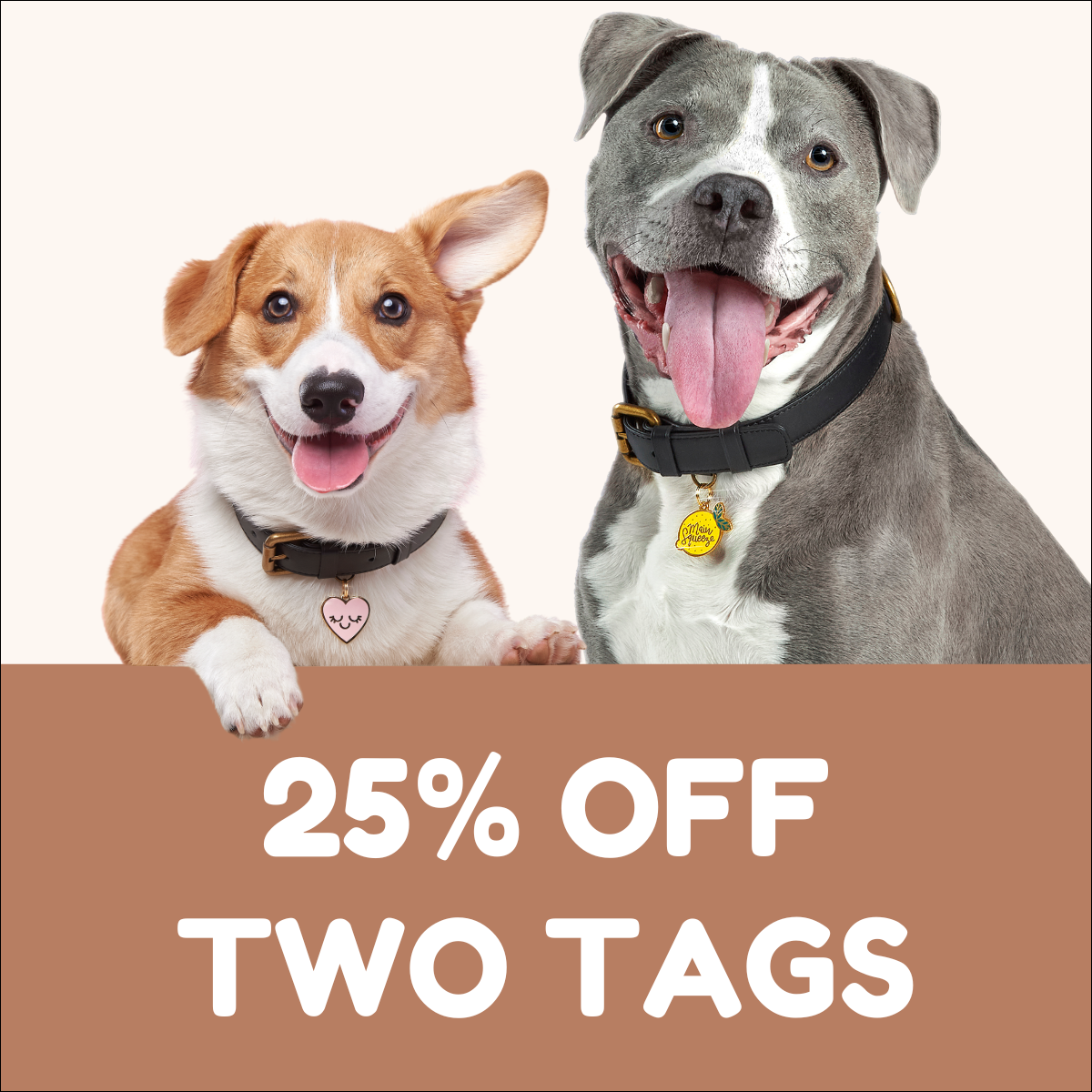 Two Tag Bundle | Two Tails Pet Company
