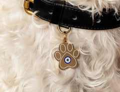Evil eye dog collar charm store